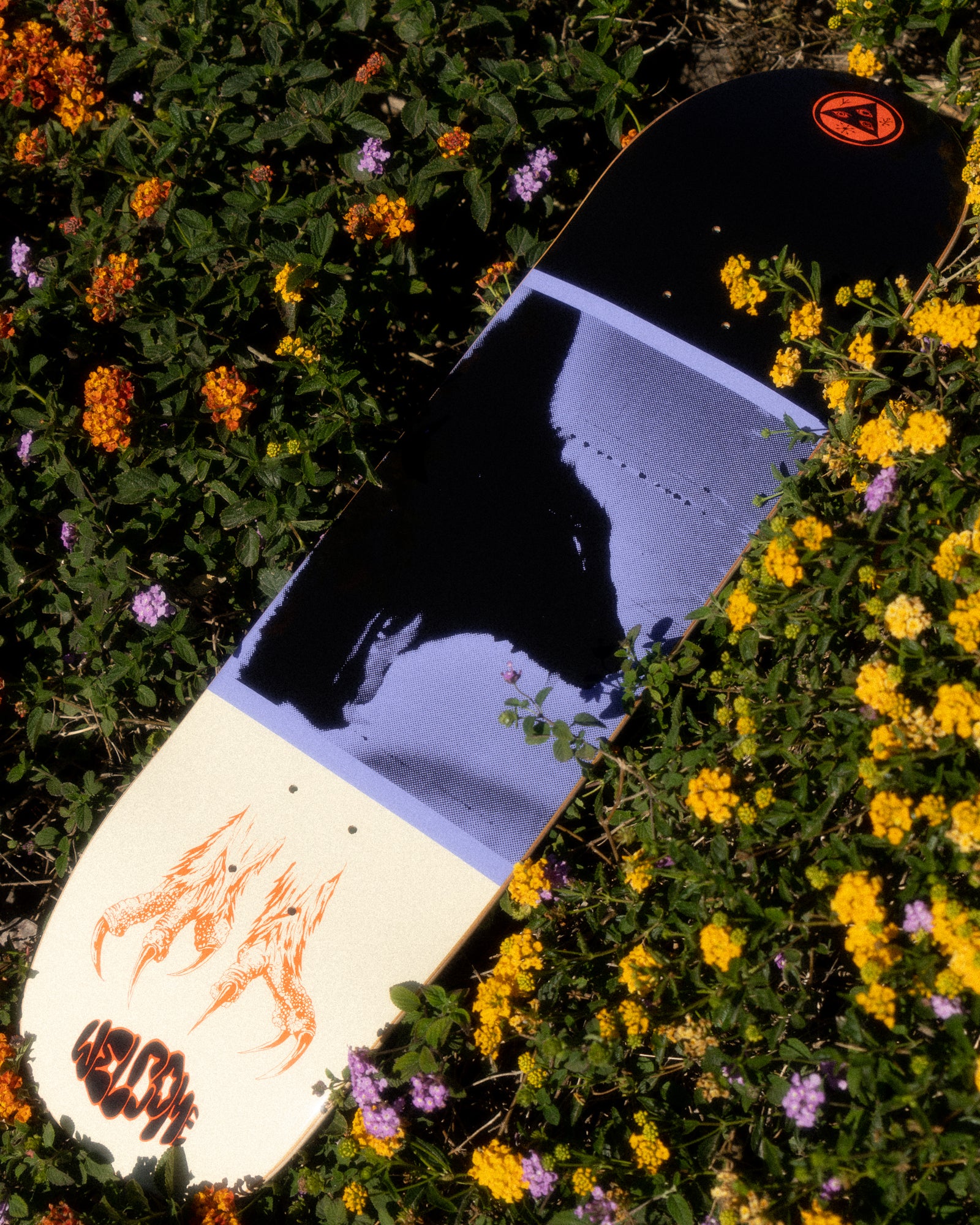Spring Boards Have Blossomed – Welcome Skateboards